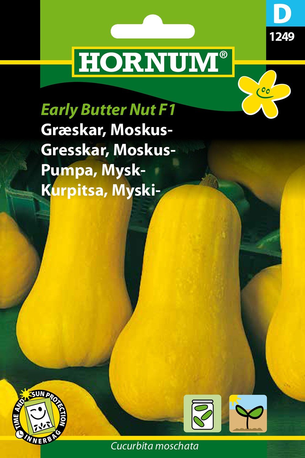 HORNUM GRÆSKAR, MOSKUS-, EARLY BUTTER NUT F grøntsagsfrø have